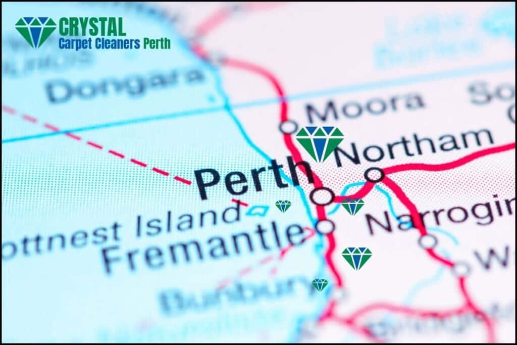 Pet Urine Odour & Stain Removal Perth – Crystal Carpet Cleaners Perth